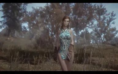 Hentai China Dress And Hentai Hana Dress For Unp By Zzjay At Skyrim