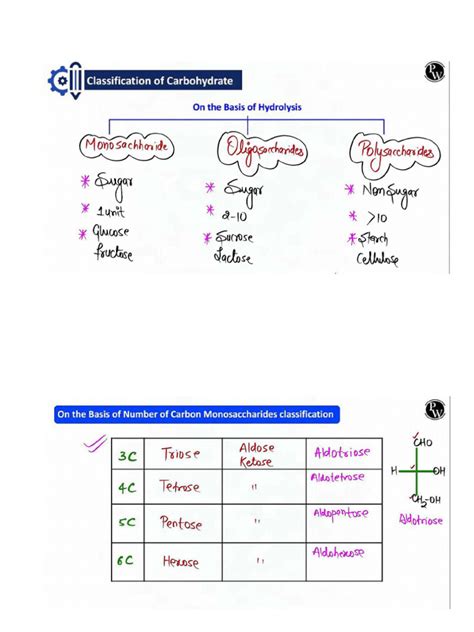 Chemistry Biomolecules Pdf