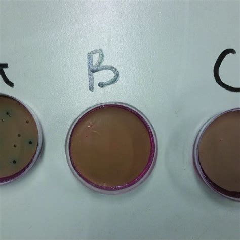B Fecal Coliform Cell Count On The Final Day Of Treatment 10 6 A ¼ Download Scientific