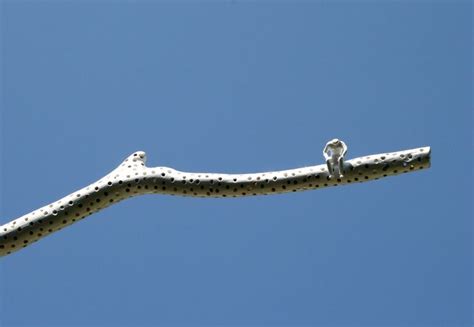 Mark Kramer Fragment 25 Fragments Kramer Objects