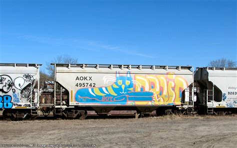 Aokx 495742
