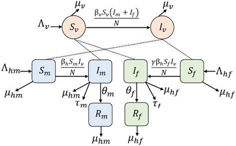 Optimal Control Of Dengue Hemorrhagic Fever Model By Classifying Sex In