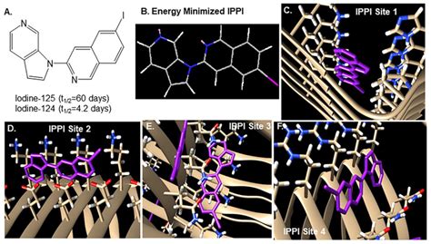 Tau Model With Ippi A Chemical Structure Of Ippi B Energy Download Scientific Diagram