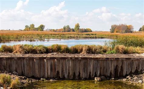 Acwa Marks Nutrient Reduction Strategy Anniversary