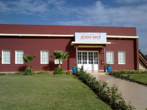 Zerad Updated 2025 Prices Reviews And Photos