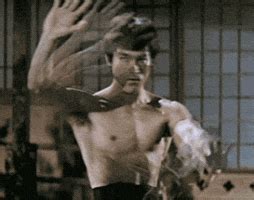 Darcia Lee S Find And Share On Giphy