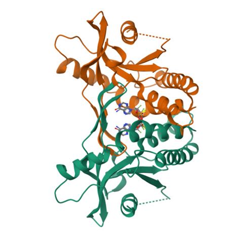 Rcsb Pdb 8p45 Crystal Structure Of Human Sting In Complex With The