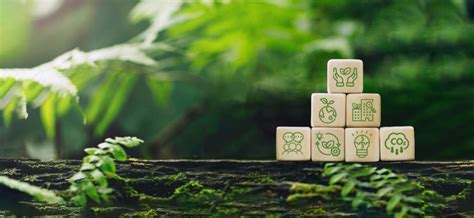 Savills Indonesia Implementing Sustainability Strategies For Businesses