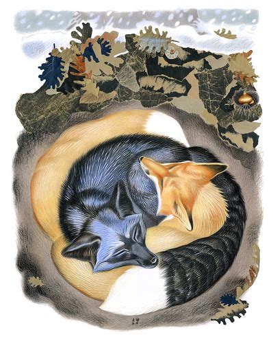 Olga Prokopenko Flickr