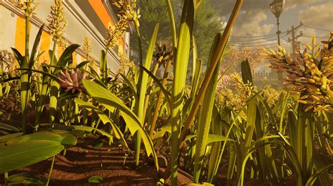 Where To Find Weed Stems In Grounded 2