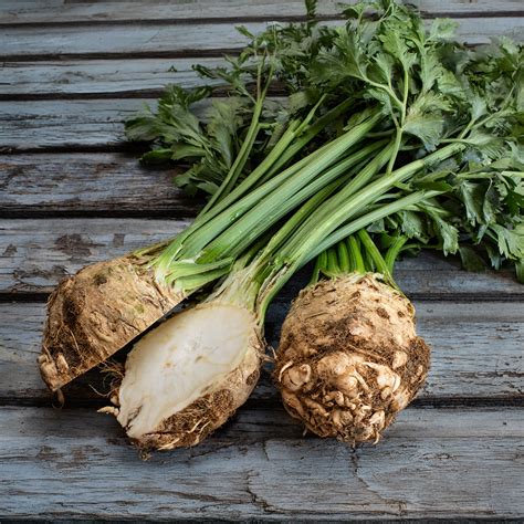 Celeriac Brilliant Premier Seeds Direct