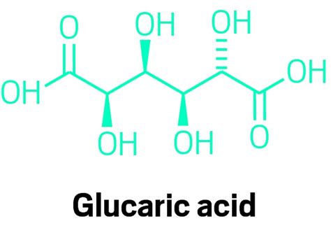 Partnership Targets Glucaric Acid Derivatives