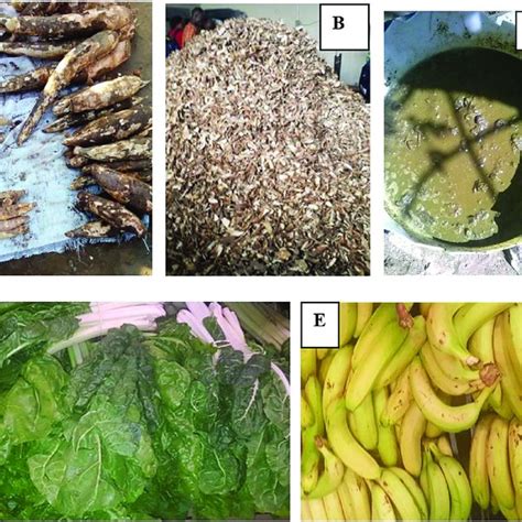 The Coning And Quartering Method Alakangas 2015 Download