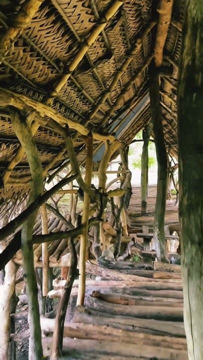 Bata Atha Farm 🌲🌳🌴 Youtube