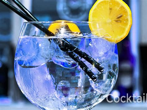 Franquicia Marlott Franquiciashoy