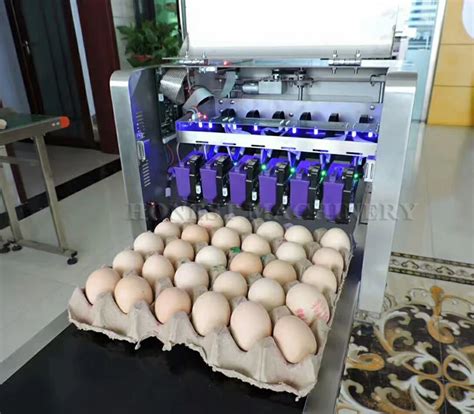 China Manufacture Egg Printer Egg Date Printer Egg Printing Machine
