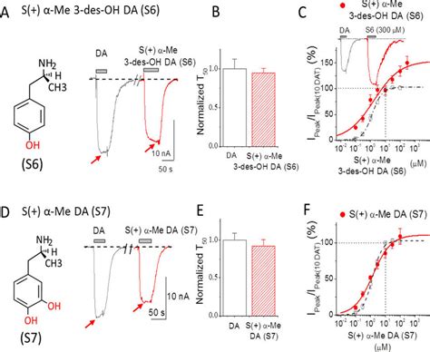 Depolarizing Currents For The Samph Derivatives Sα Me