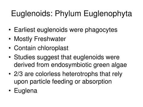 Ppt Protista Algae And Heterotrophic Protist Powerpoint Presentation