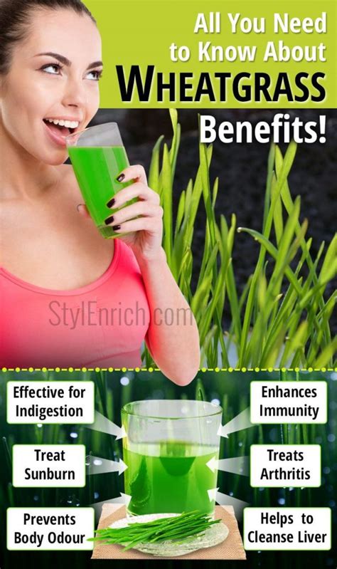 Wheatgrass Benefits Best Treatment For Health And Skin Problems