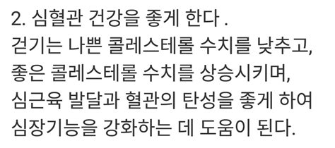 노년의 걷기운동법과 건강 이점