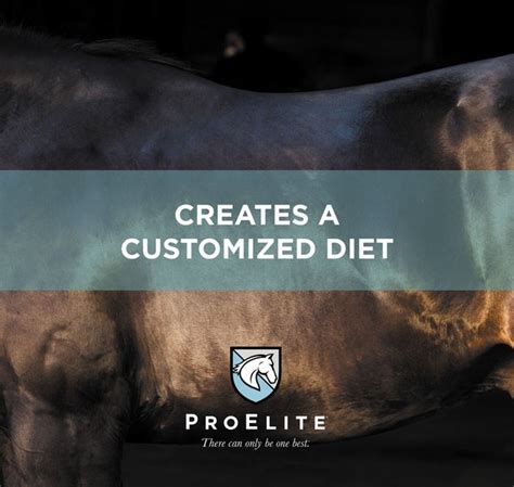Proelite Grass Advantage Ultra Premium Equine Diet Balancer Horse Feed