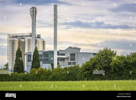 Bio Energy Plant Close Up Stock Photo Alamy