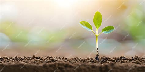 Premium Photo Analyzing The Root Cause To Effectively Solve Problems And Ensure Longterm