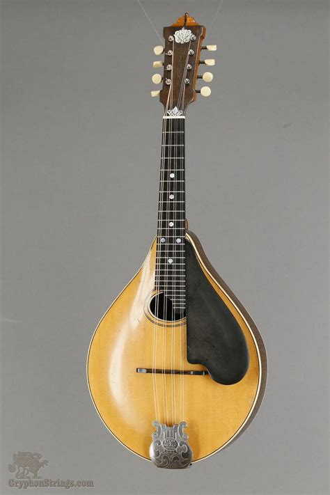 17 Best Images About Stringed Musical Instruments On Pinterest