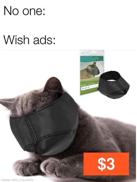 Probably For Sex Tbh R Memes