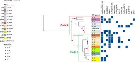 Phylogenetic Analysis Of Core Genome Of Escherichia Coli Isolates From