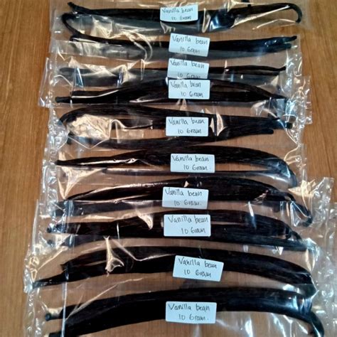 Jual Vanila Bean Per 10 Gram Isi 3 4 Batang Panjang 15 17 Cm