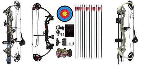 Top 5 Compound Bows For New Archers A Full Guide