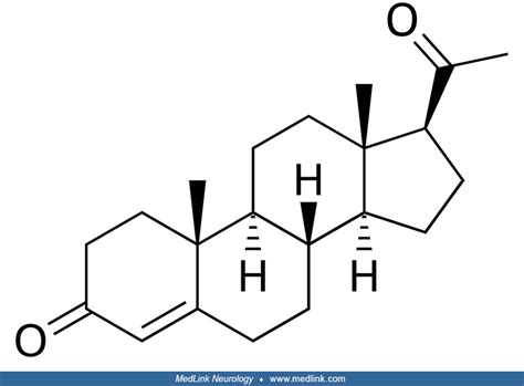 Sex Hormones And The Nervous System Medlink Neurology