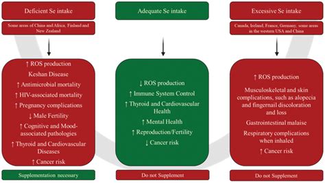 Brief Description Of Selenoproteins Function In Human Body Download Scientific Diagram