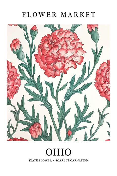 Ohio State Flower Art Print Scarlet Carnation 1960s Wall Art Neutral