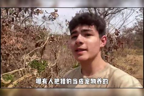 猎豹竟然能当宠物国外小哥把猎豹当猫咪，网友胆子够大的涨知识猎豹猫咪胆子