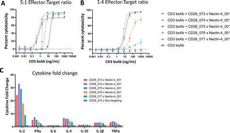 Potency Optimized Cd28 Activating Bispecific Antibody For The Targeted Treatment Of Nectin 4