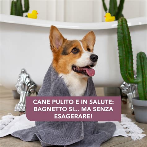 Farmacia 🤔 Il Mio Bambino Non Fa La Cacca Da Giorni Devo Fare Un