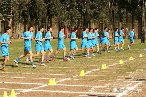 风靡世界的YOYO测试究竟有何魔力 知乎