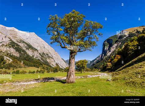 Alpendorf eng -Fotos und -Bildmaterial in hoher Auflösung – Alamy