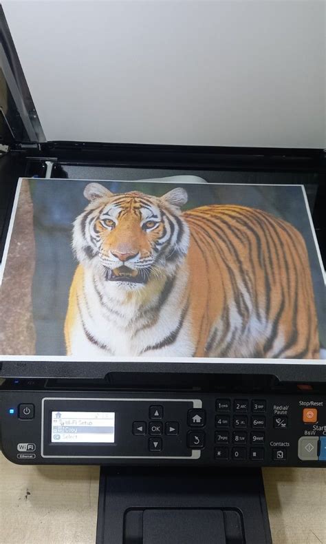 Epson Printer L565 Eco Tank Computers And Tech Printers Scanners