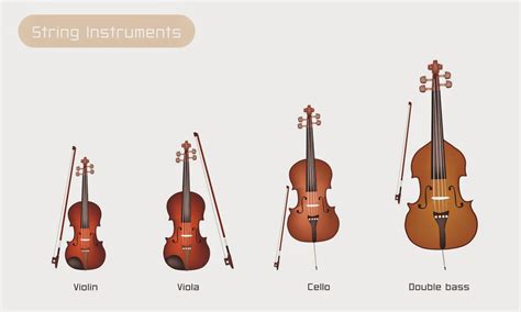 Stringed Musical Instruments
