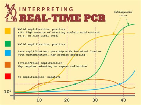 Med Lab Facts Notes The Pcr Cycle At Which Sample Facebook