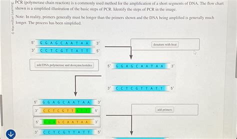 Solved PCR (polymerase chain reaction) ﻿is a commonly used | Chegg.com