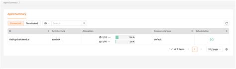 Agent Summary — Backendai Webui User Guide 2505 Documentation