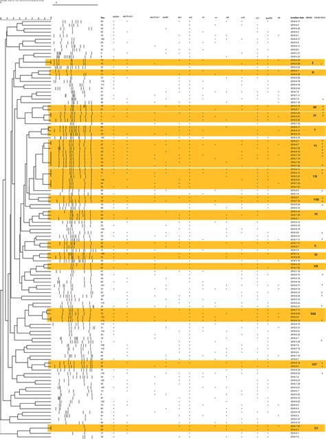 dendrogram analysis of rep pcr fingerprint for 120 e coli