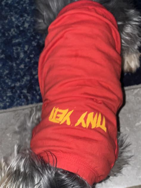 Tiny Yeti Is Ready Rnewheights