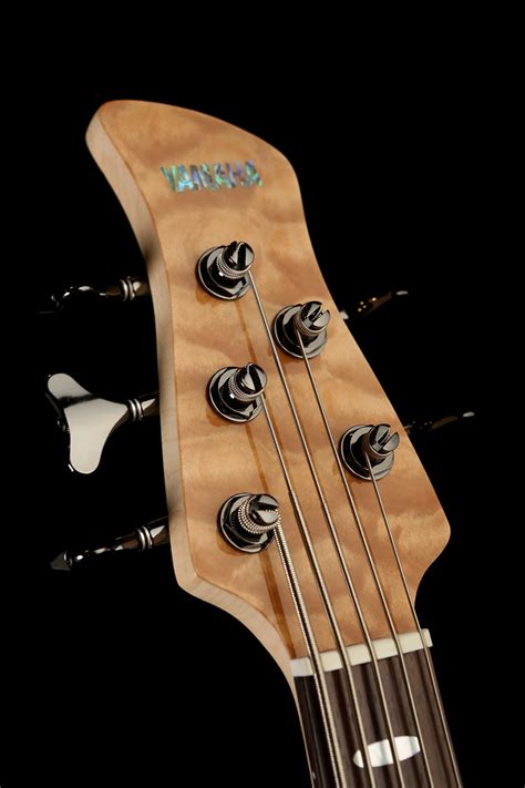 5 String Basses 5 String Basses