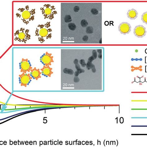 Pairwise Aunp Interaction Potentials At Different Values Of Surface Download Scientific Diagram