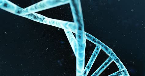 Book Buy Understanding Genomics How Nutrition Supplements And